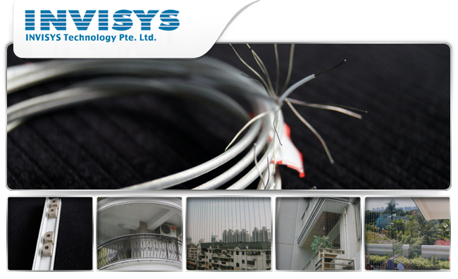 Invisys Technology Pte Ltd | Business Overview