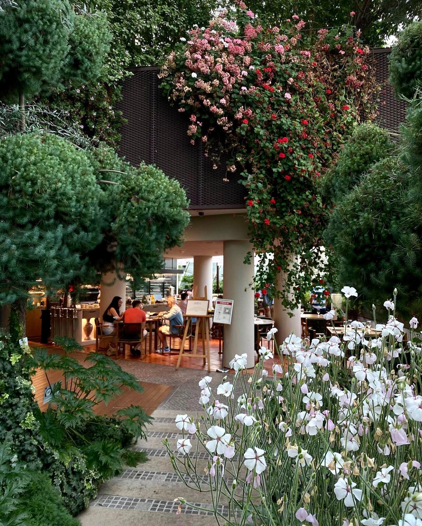 Hortus Singapore @ Flower Dome - Gardens By The Bay (Bay South)