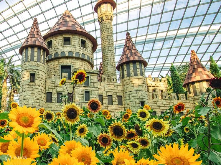 Singapore City Tour with Gardens by the Bay Admission @ Gardens by the ...