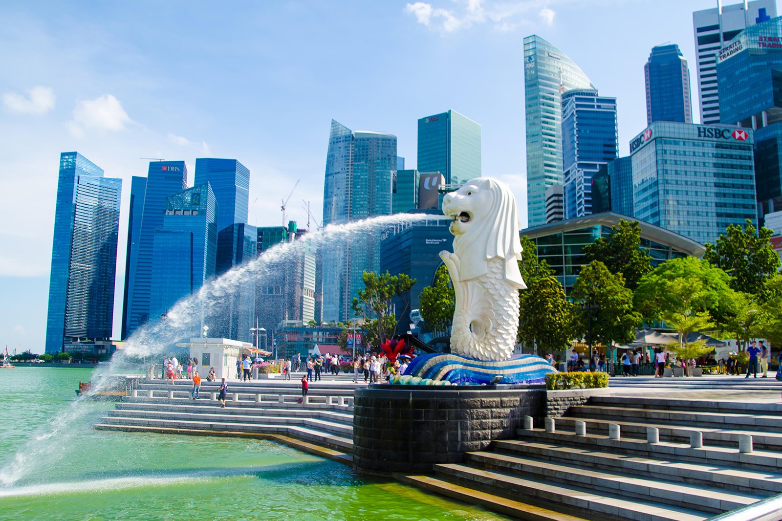 Singapore City Tour with Gardens by the Bay Admission @ Gardens by the ...