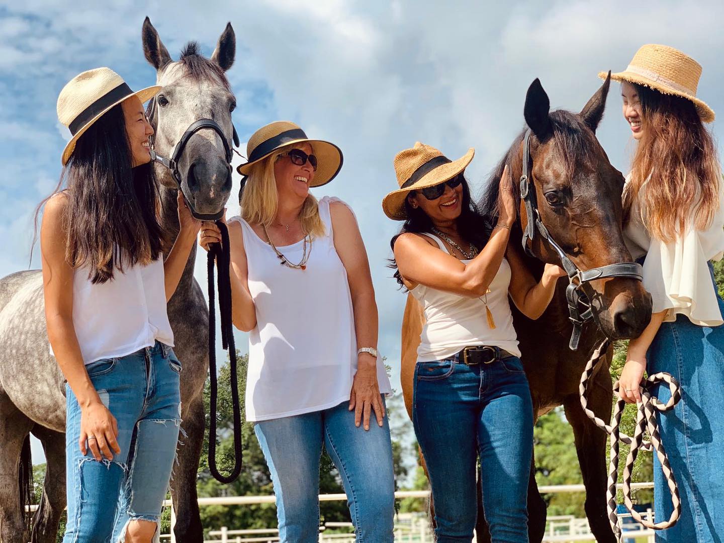 Horsecity Gallop Stable @ Horse Garden - Horsecity