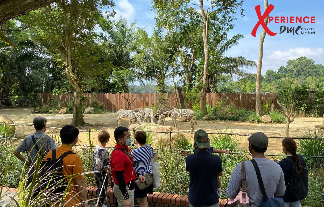 Zoo - Declassified! by Xperience DMC @ Singapore Zoo