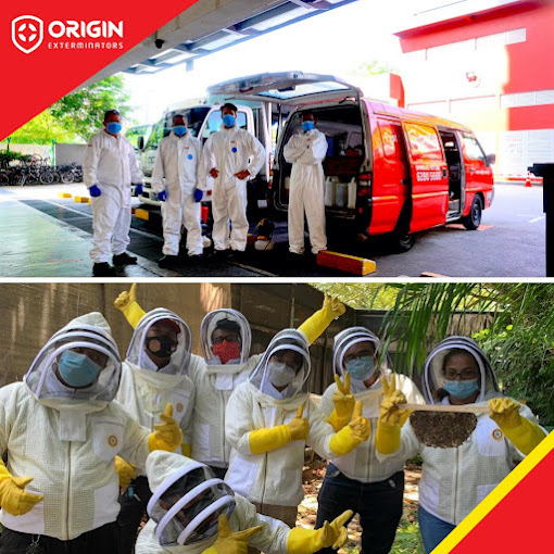 Origin Exterminators | Origin Exterminators Pte Ltd